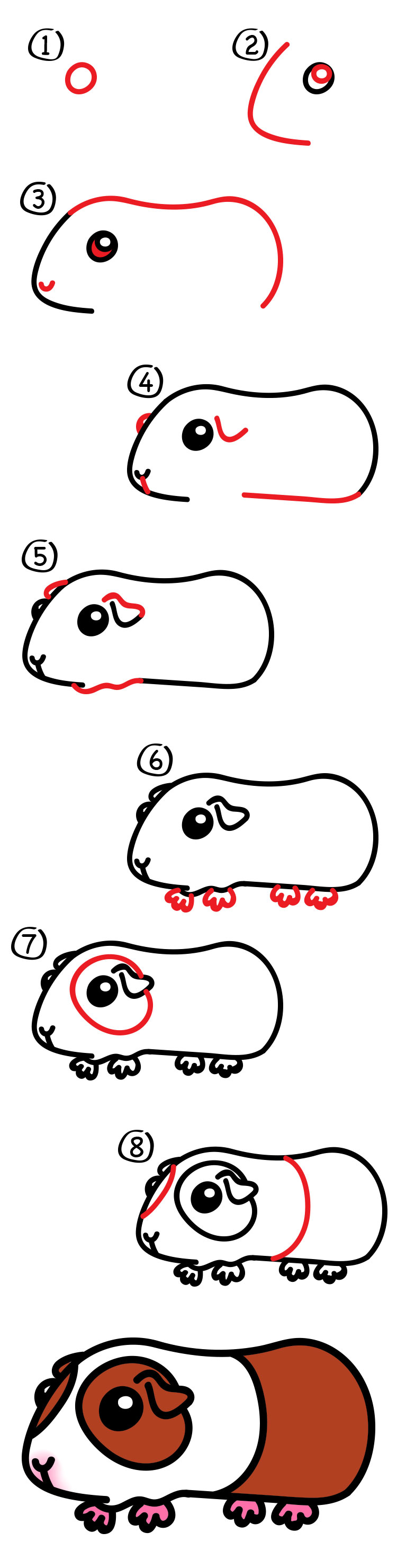 How To Draw A Guinea Pig Art For Kids Hub