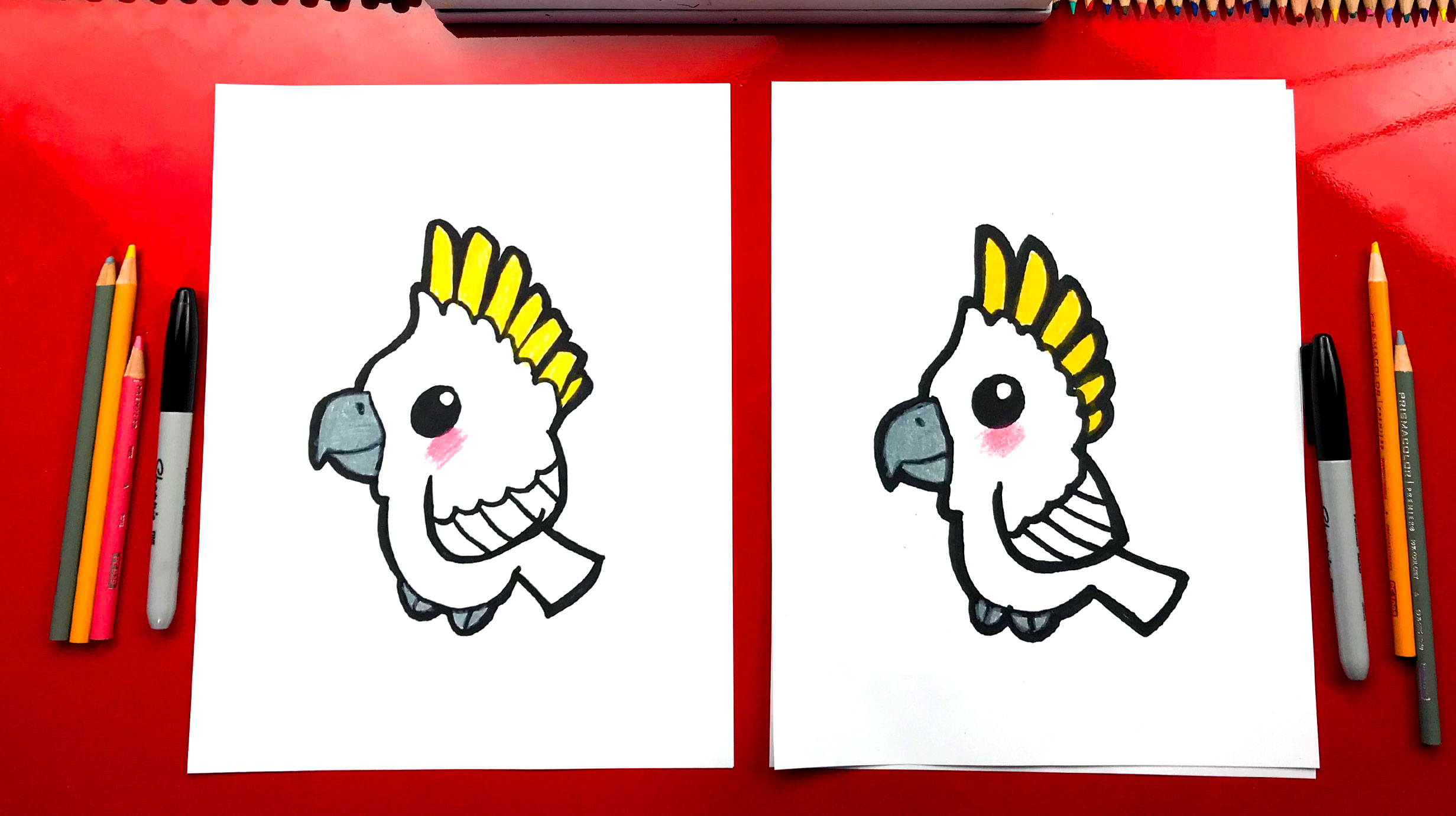 How To Draw A Cartoon Cockatoo Art For Kids Hub